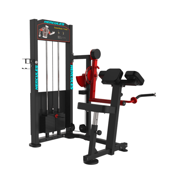Flexion – Biceps & Triceps – Track and Trail